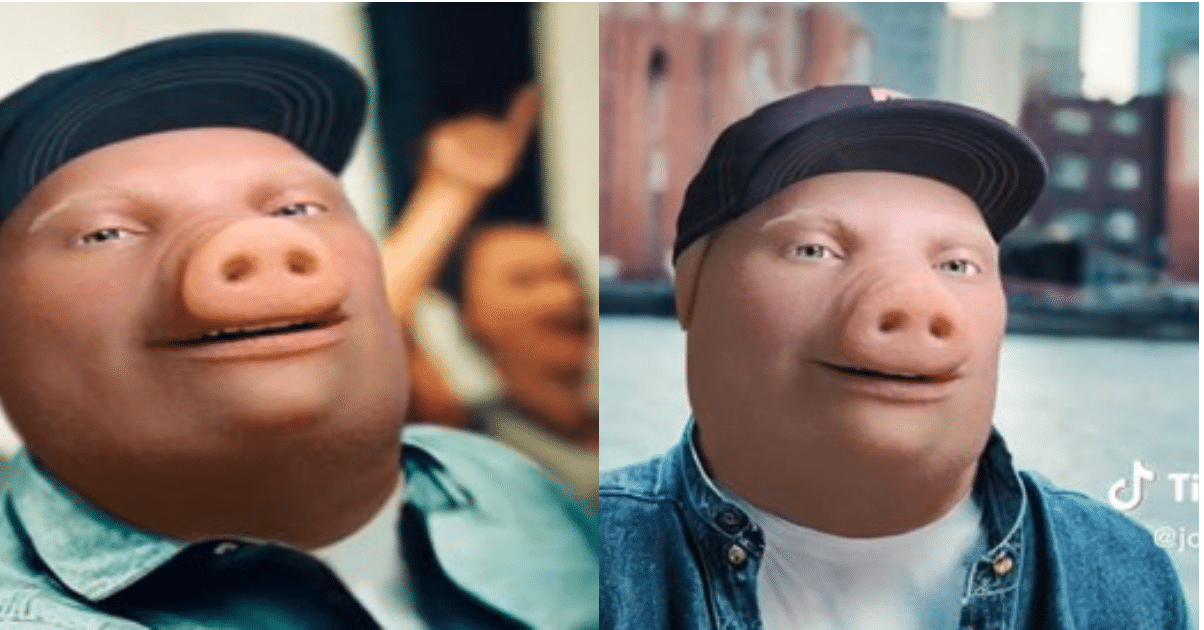 John Pork está llamando meme explicado mientras TikTok lamenta la ...